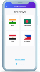Money Transfers - Domestic & International | Payit E-Wallet
